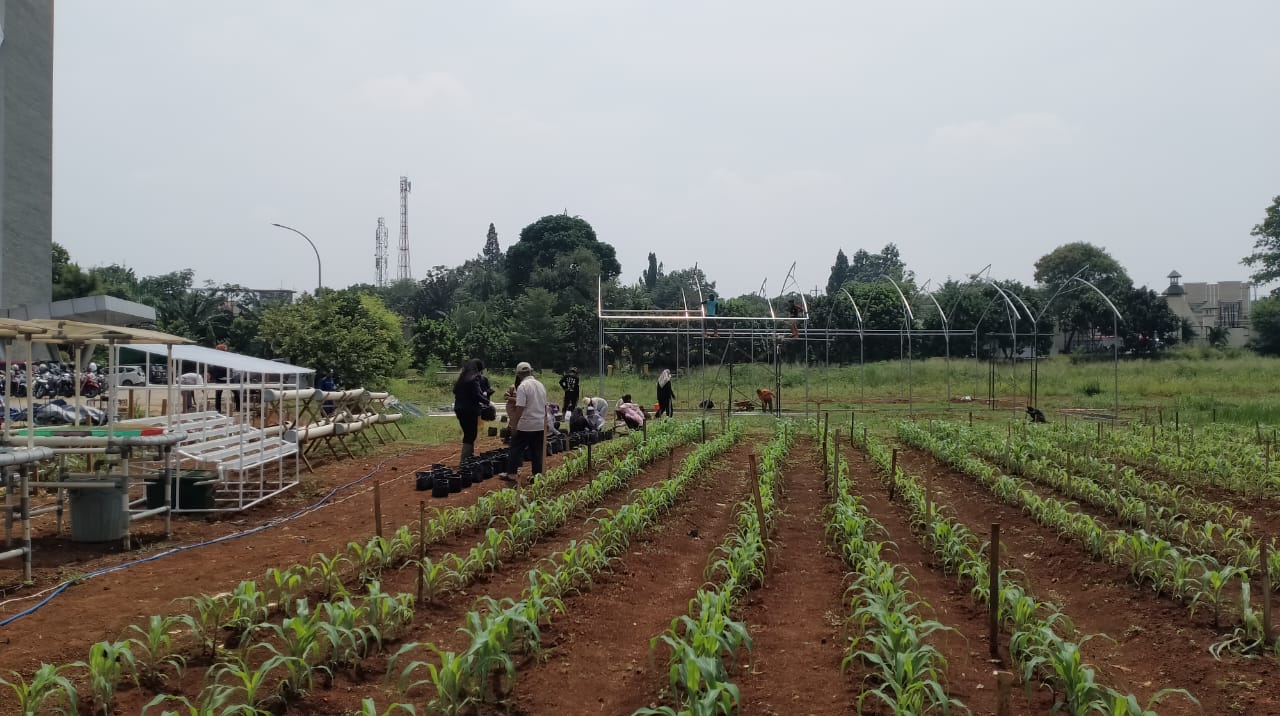Lab Agribisnis - Pusat Laboratorium Terpadu